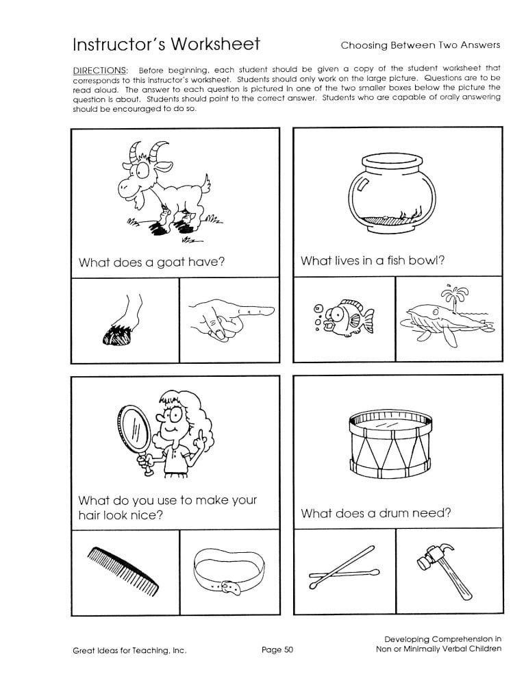 Developing Comprehension in Non or Minimally Verbal Children - Speech ...