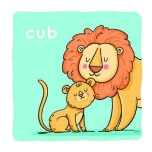 Bjorem Minimal Pairs: Voicing - Speech Corner