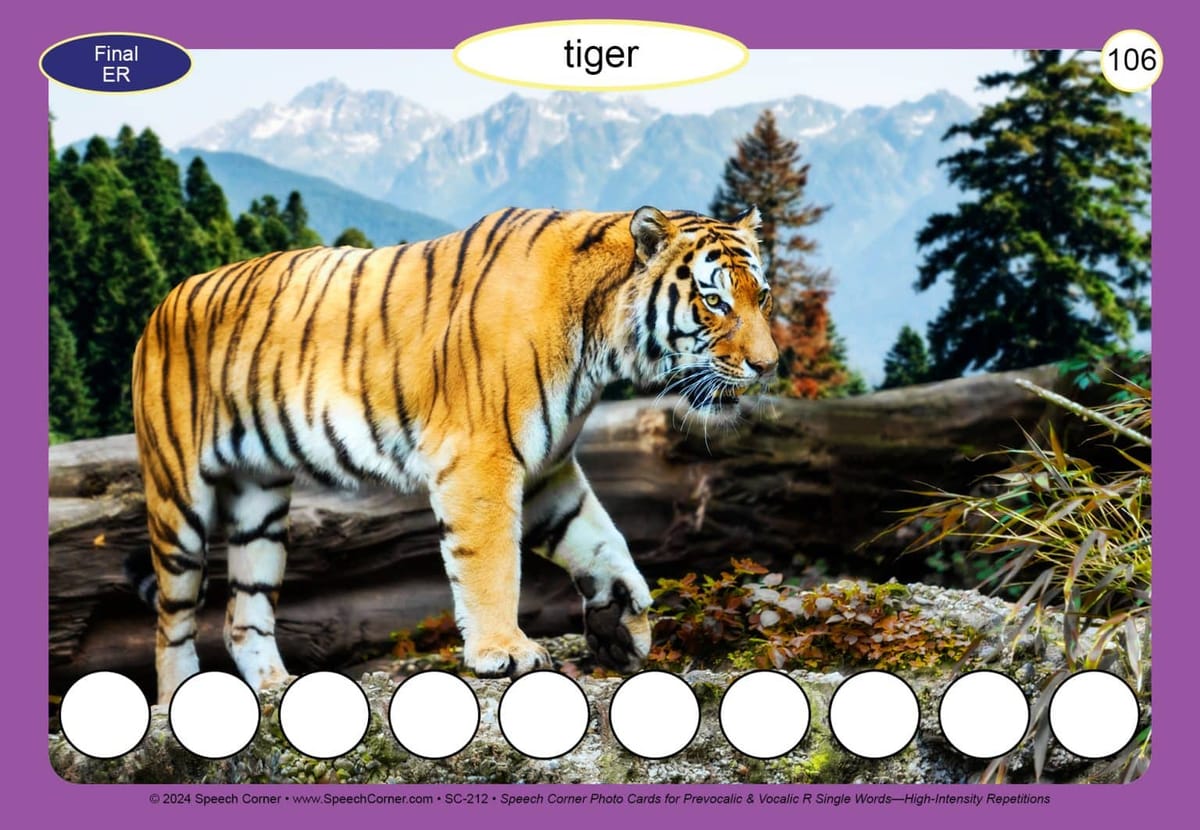 Speech Corner Photo Cards for Prevocalic and Vocalic R— Single Words ...