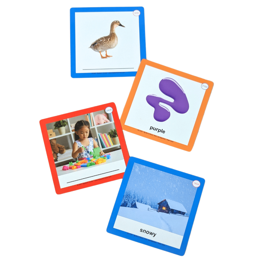 Big Box of Nouns, Verbs, and Adjectives—Photo Cards - Speech Corner