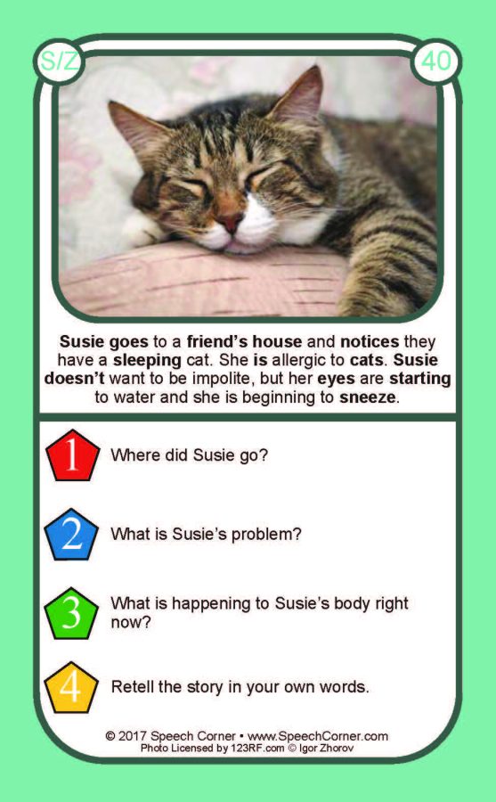 Carryover Double Dice Articulation Bundle - Speech Corner