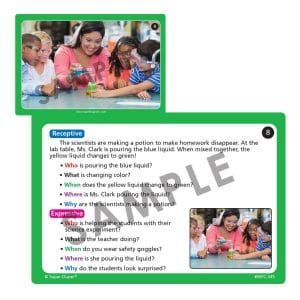 Webber Photo Cards WH Questions - Speech Corner