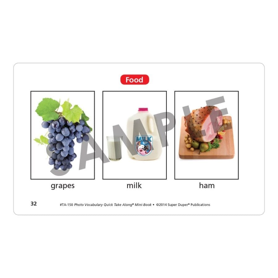 Photo Vocabulary Quick Take Along - Speech Corner