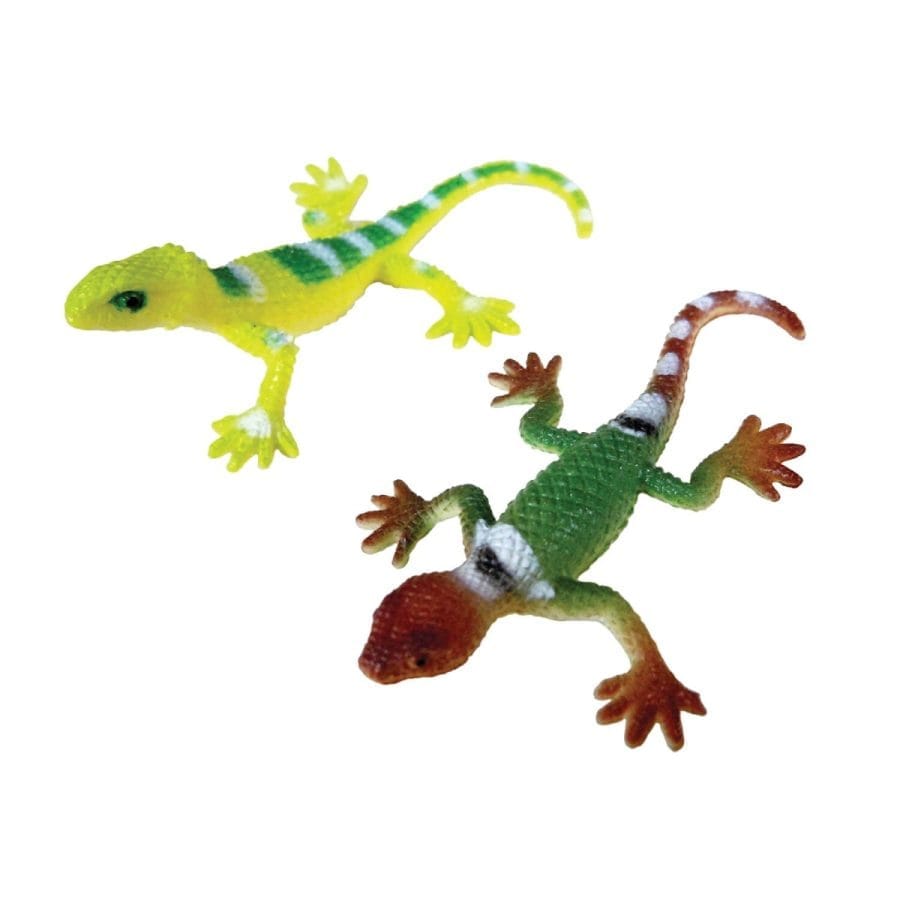 Lids 'n Lizards - Speech Corner