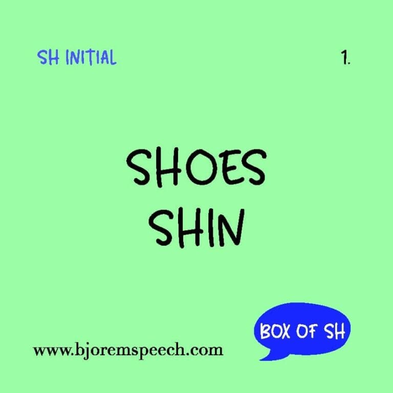 Bjorem Box of CH, SH, and J Bundle - Speech Corner